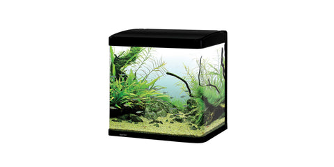 Aqua One Lifestyle Aquarium – Acres Aquatics
