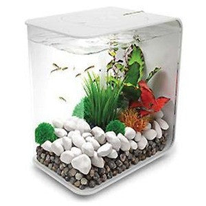 biOrb FLOW range (15 and 30) – Acres Aquatics