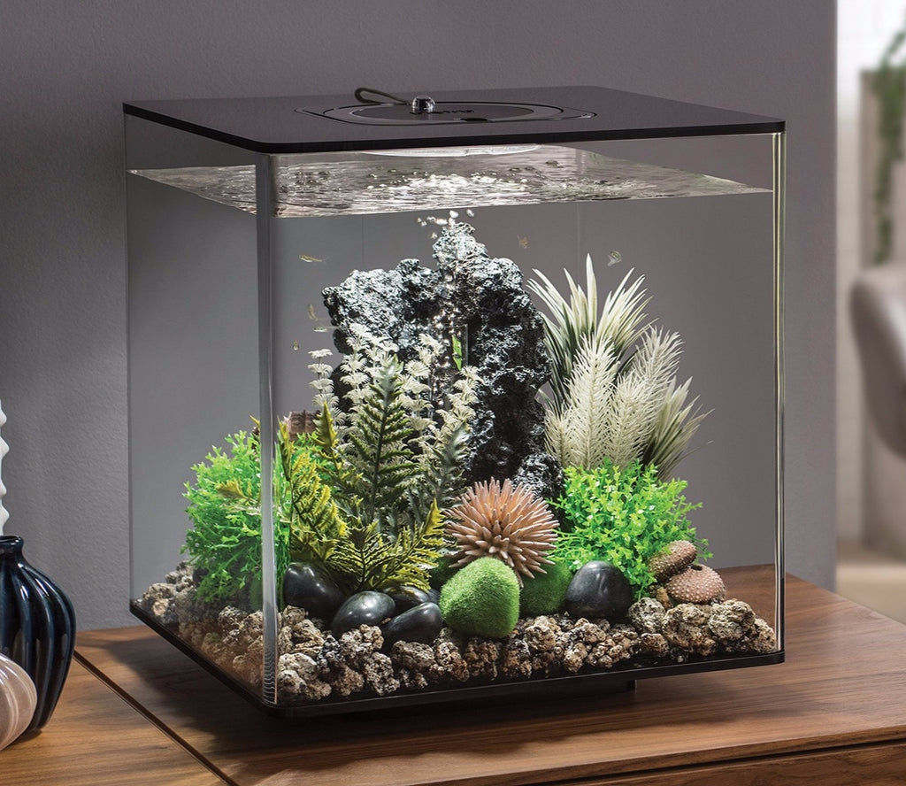 biOrb Cube 60 – Acres Aquatics
